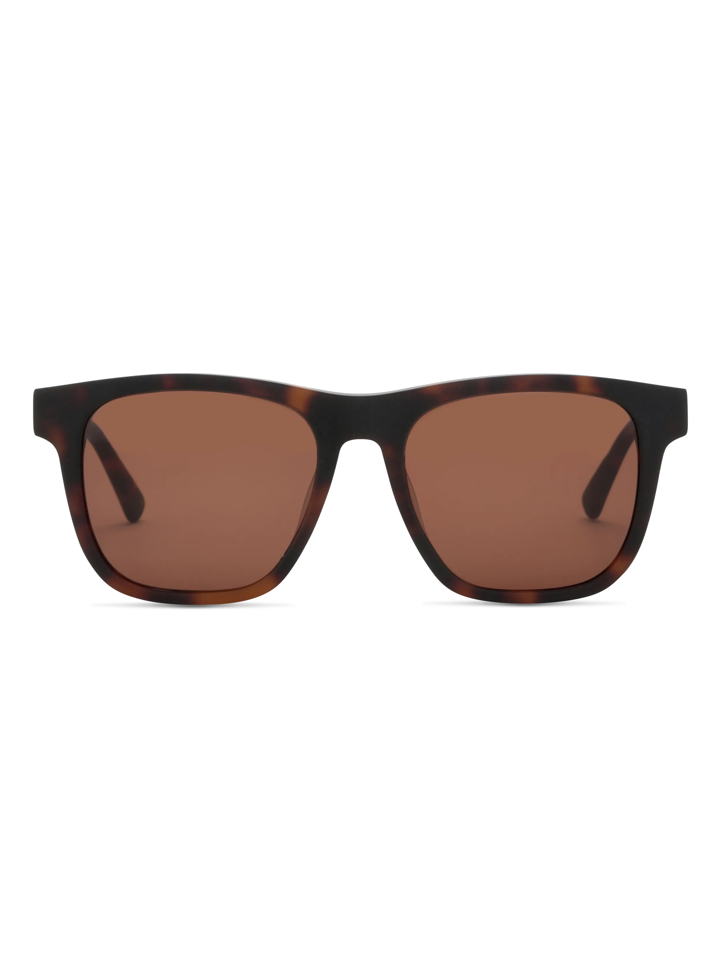 MEN'S SUNGLASSES BRO | GEORGE GINA LUCY EYEWEAR – GEORGE GINA & LUCY